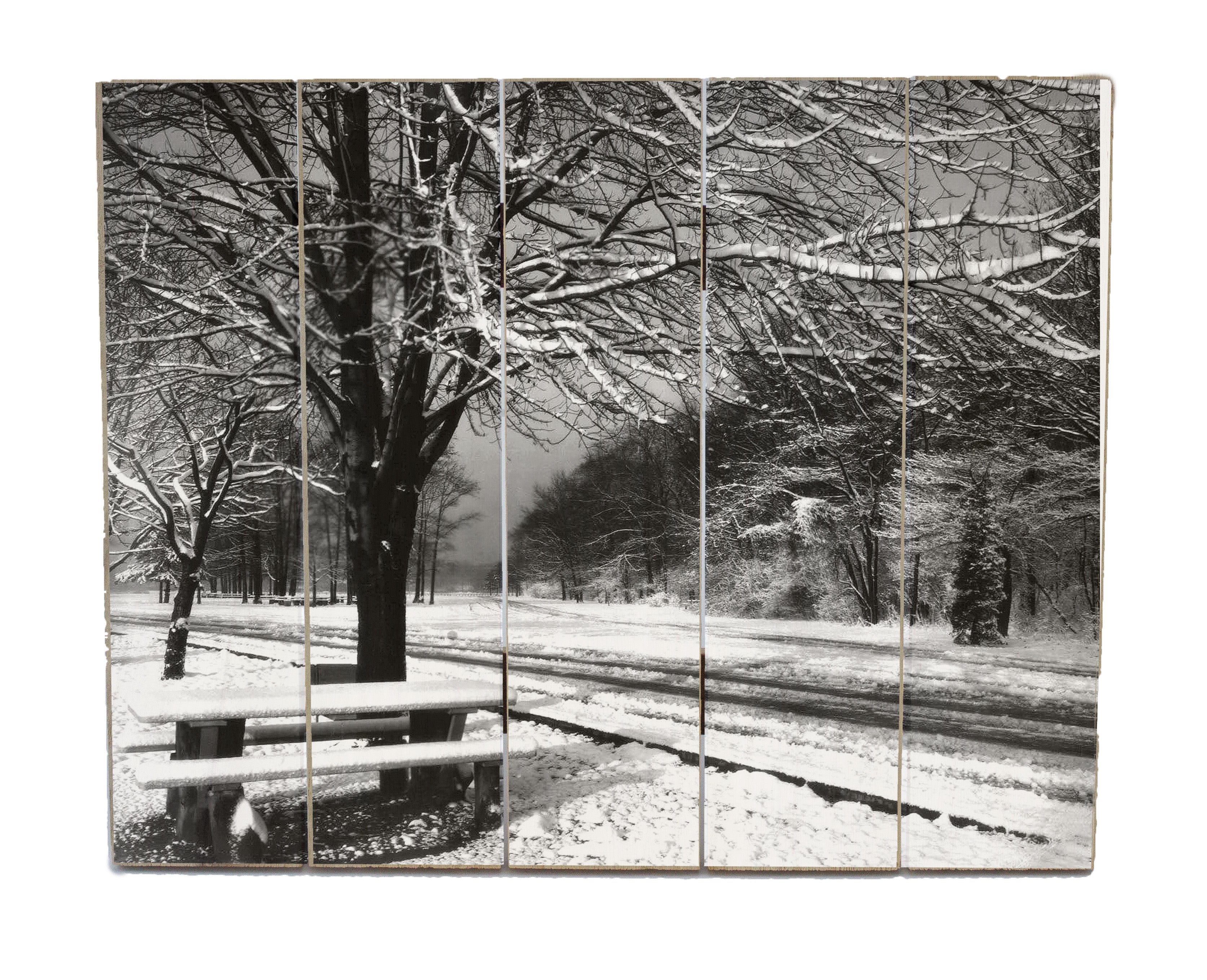 PALLET WOOD - BELLE ISLE WINTER – Detroit News Photography